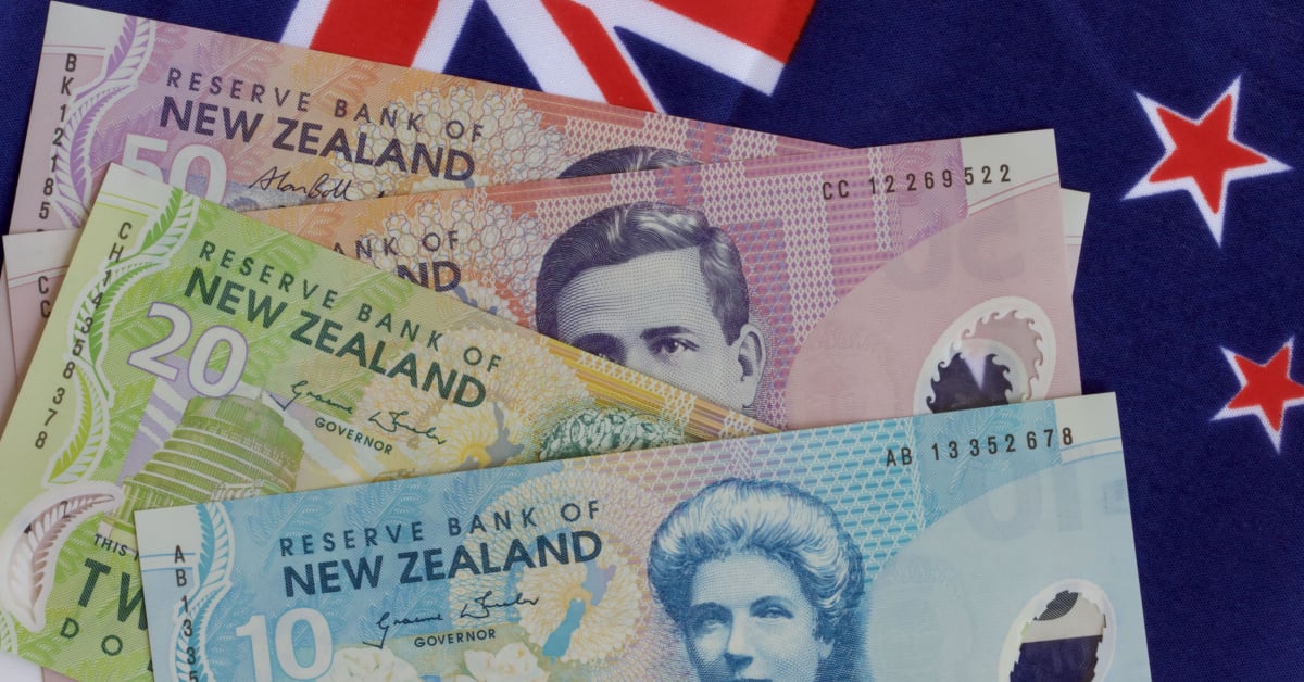 Guide 101 - The Basics of Payroll in New Zealand