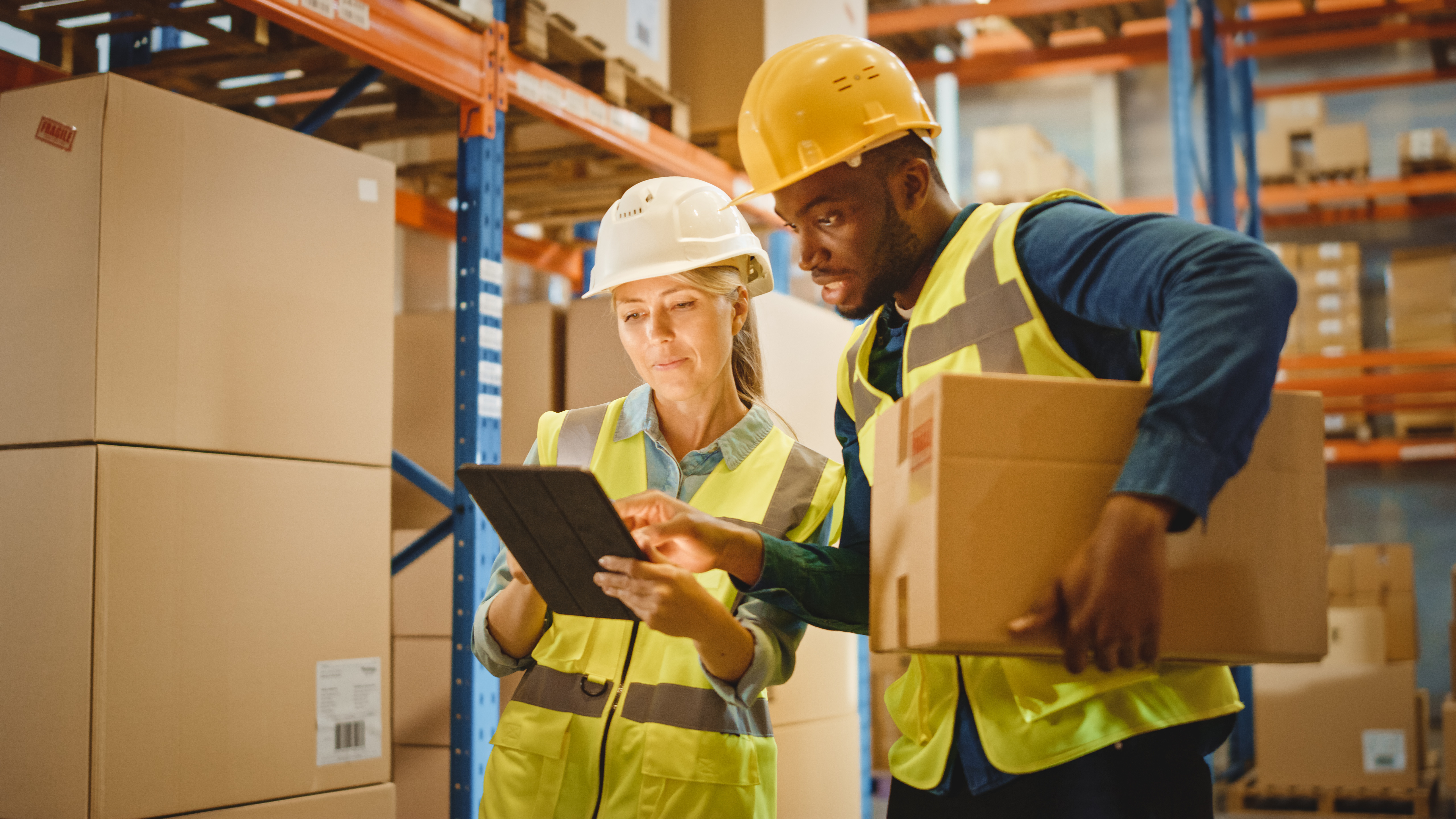 Ramco Logistics Software - Mastering WMS Implementation